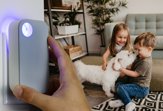 Transform Your Home's Air Quality with Ionize Pro